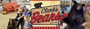 Wakefield Parks & Recreation: Cannon Mountain Tramway and Clark's Bears